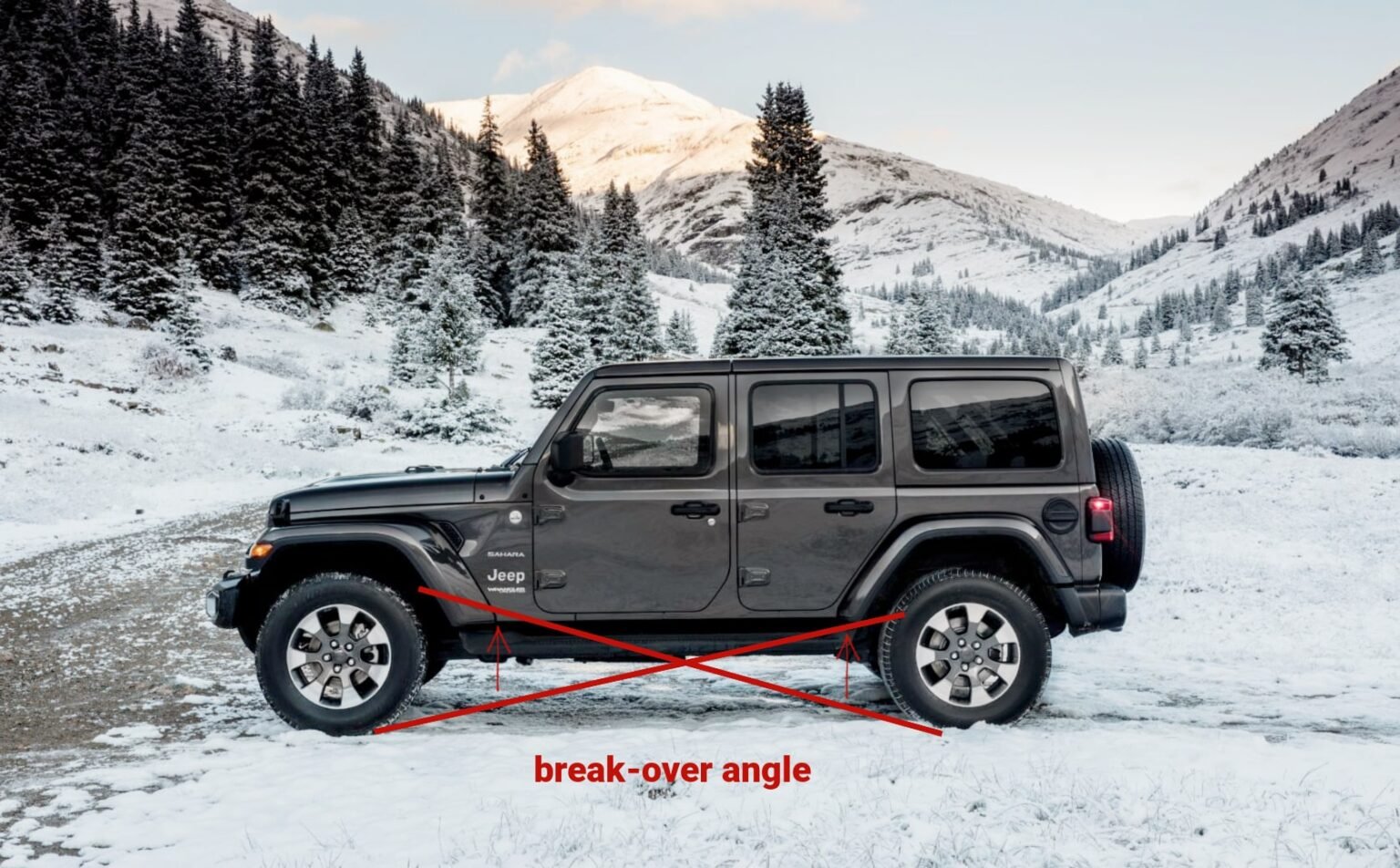 SWB vs LWB: Which is better?