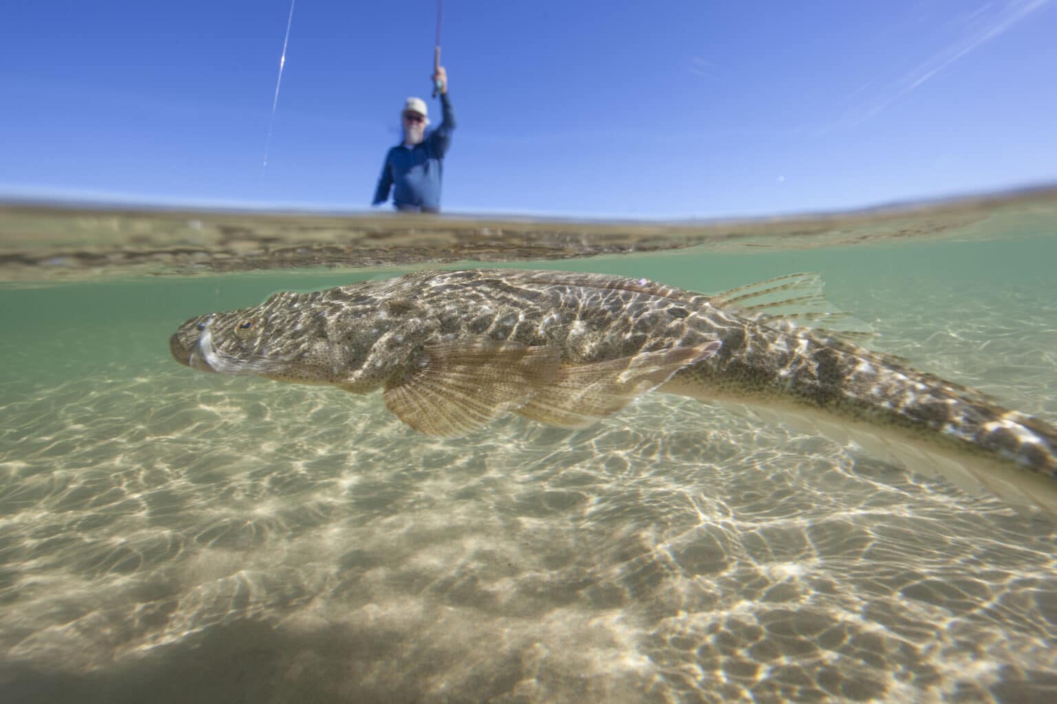 A guide to catching flathead - Unsealed 4X4