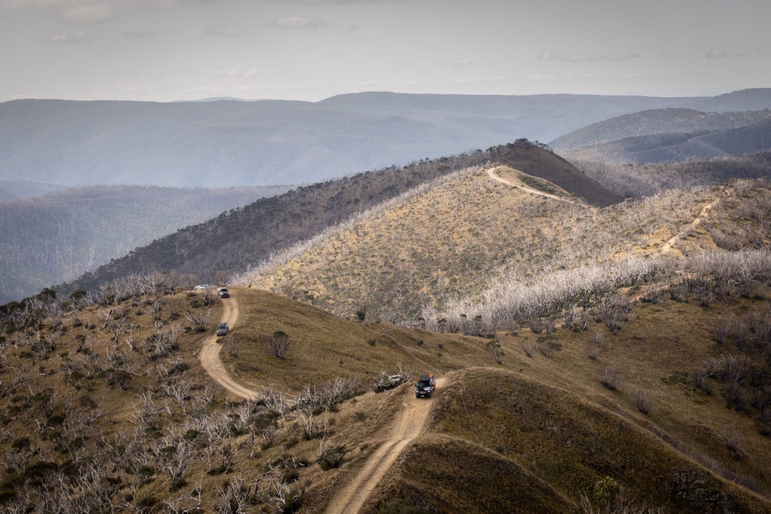 Ten things they don't tell you about the Victorian High Country ...